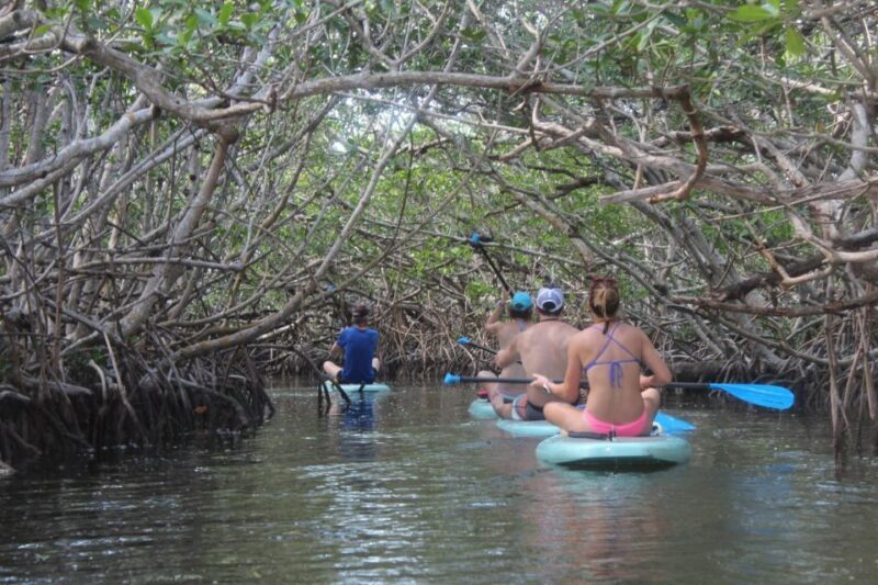 Florida Keys: Full-Day Kayak + Snorkel Coral Reef Adventure - A Complete Look at the Florida Keys Adventure