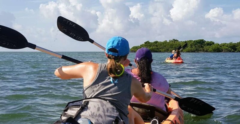 Florida Keys: Full-Day Kayak + Snorkel Coral Reef Adventure - Final Thoughts