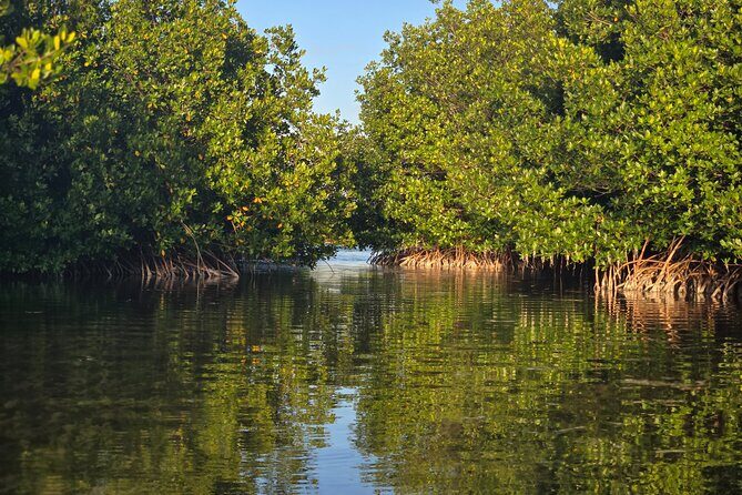 Florida Keys Kayak And Paddleboard Rentals - Authentic Experiences and Guest Perspectives