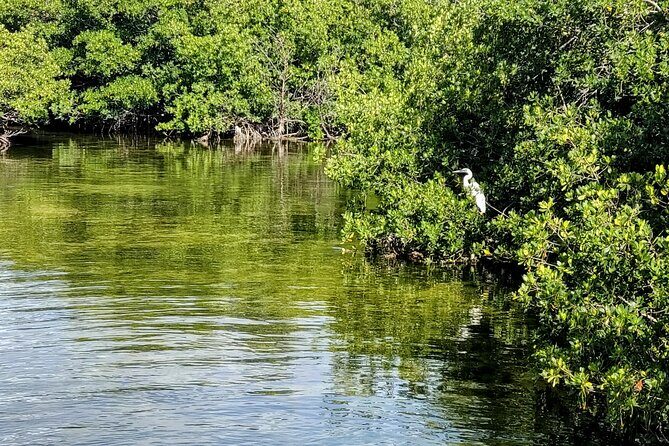 Florida Keys Kayak And Paddleboard Rentals - FAQ