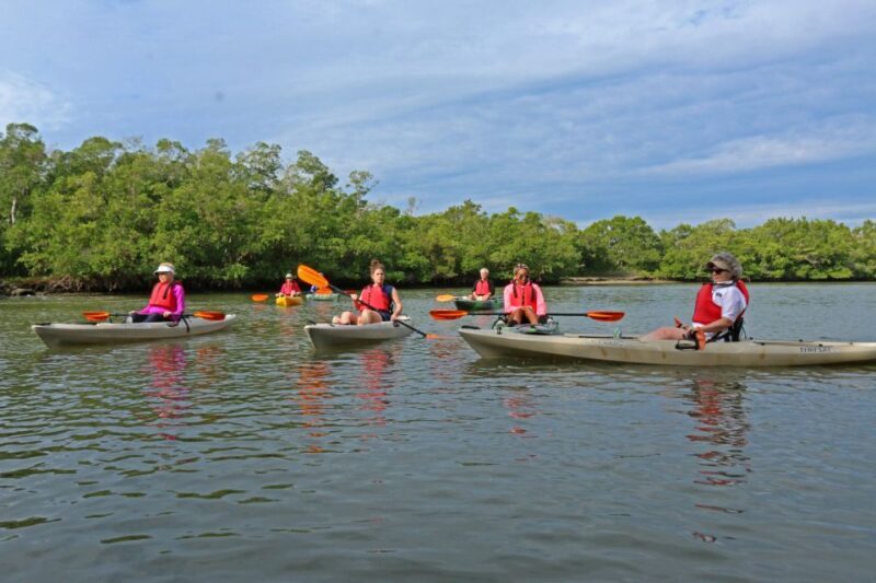 Florida Keys: Key West Kayak Eco Tour with Nature Guide - What to Expect During Your Kayak Eco Tour
