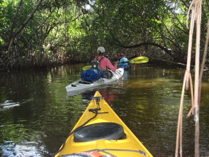 Florida Keys: Key West Kayak Eco Tour with Nature Guide - FAQ