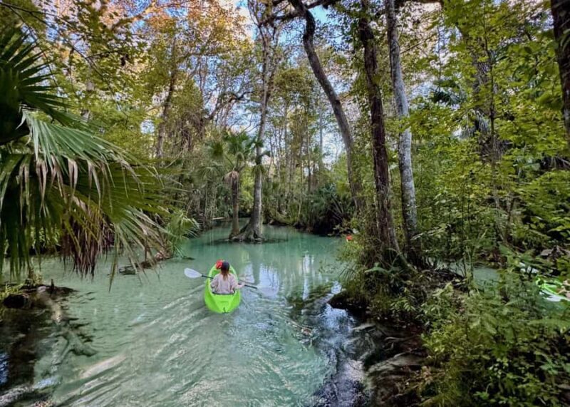 Florida: Rock Springs Run Clear Kayak Adventure - Key Points