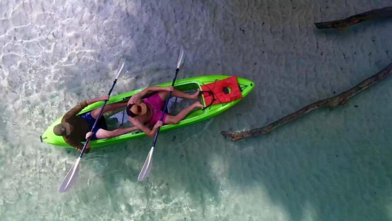 Florida: Rock Springs Run Clear Kayak Adventure - An Authentic Florida Kayaking Experience