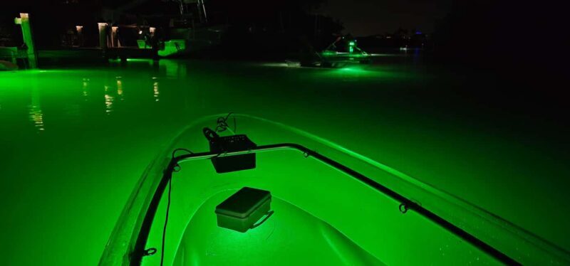 Florida: Sharkey's Guided Fish Feeding LED Night Tour - An In-Depth Look at the Tour