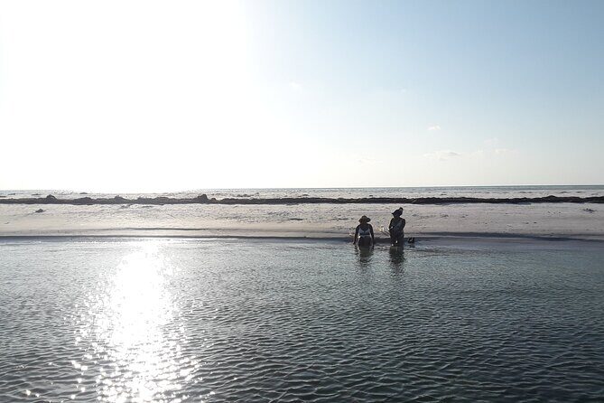 Florida's Beautiful Beaches and Waterways Private Tour - What Makes This Tour Stand Out?