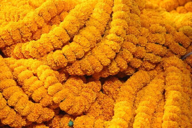 Flower Market Colors and Ganges Ghat Experience - Exploring Kolkata’s Flower Market: A Riot of Colors and Frantic Activity