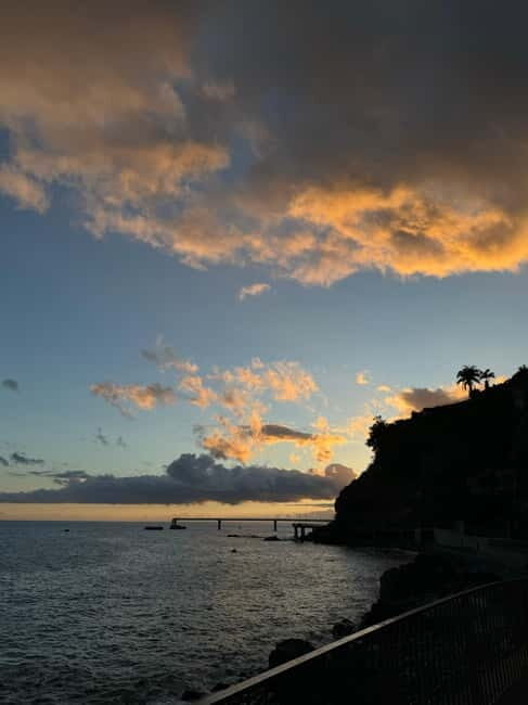Flowers Of The Forest, Câmara de Lobos 4x4 Jeep Tour - The Serenity of Boca dos Namorados