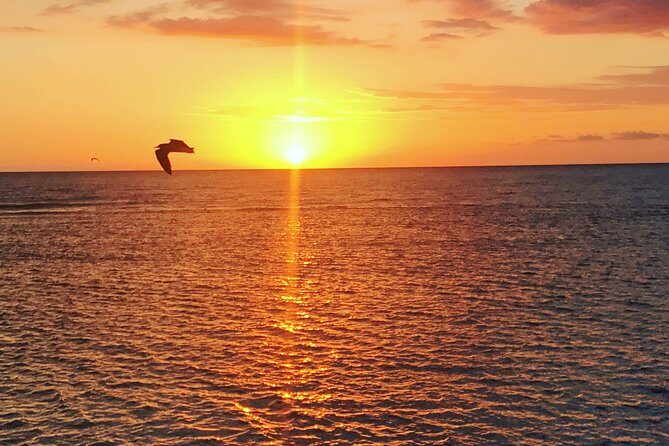 Floyd's Pelican Bar - Key Points