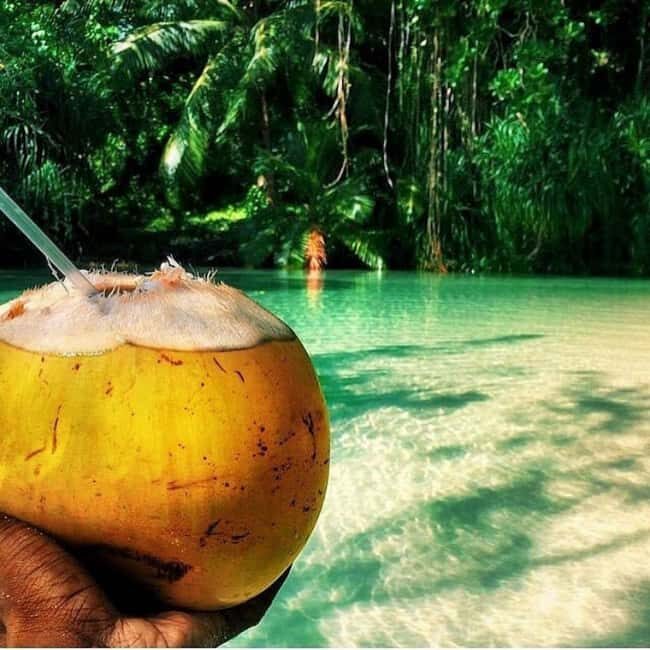 Floyd's Pelican Bar Private Tour - The Value and Why It’s Worth It