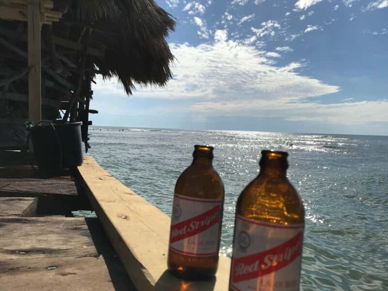 Floyds Pelican Bar, Ys Falls and Black River Safari Tour - A Complete Breakdown of the Tour Experience