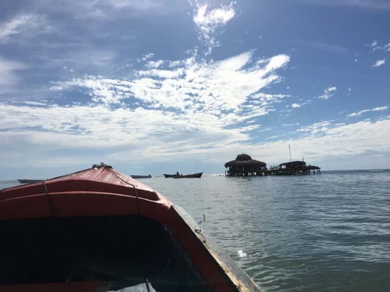 Floyds Pelican Bar, Ys Falls and Black River Safari Tour - Who Should Consider This Tour?