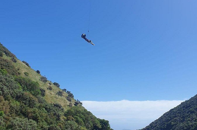 Fly By Wire New Zealand - The Reviews: Authentic Feedback from Participants