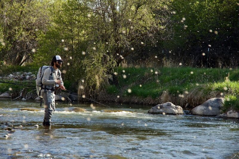 Fly Fish Utah Blue Ribbon Trout Waters - Introduction to the Experience