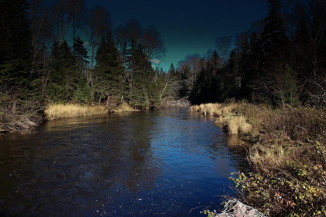 Fly Fishing Guided Experiences - Authentic Feedback from Past Participants
