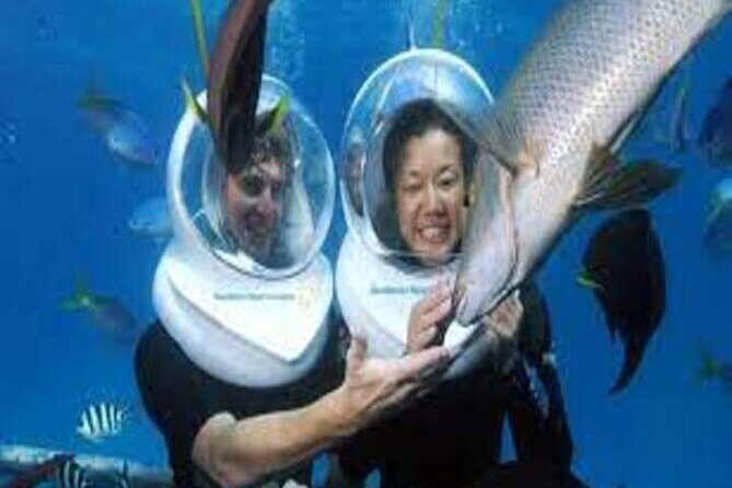 Fly in and Fly out Great Barrier Reef Cairns Day Tour - Who Is This Tour Best For?