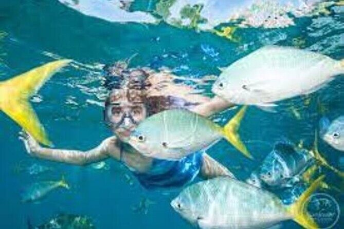 Fly in and Fly out Great Barrier Reef Cairns Day Tour - FAQ