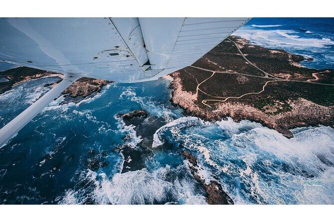 Fly to Rottnest Island by Plane - Who Will Love This Experience?