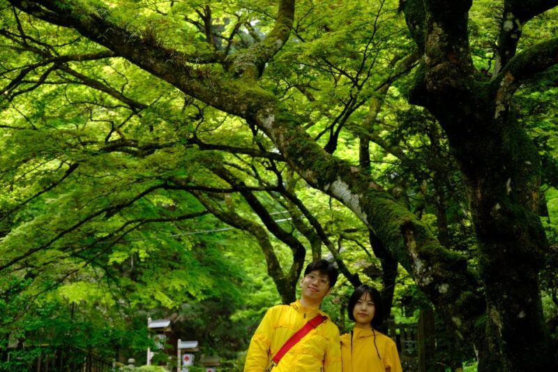 Fm Odawara: Forest bathing and onsen with healing power - Who’s this tour for?