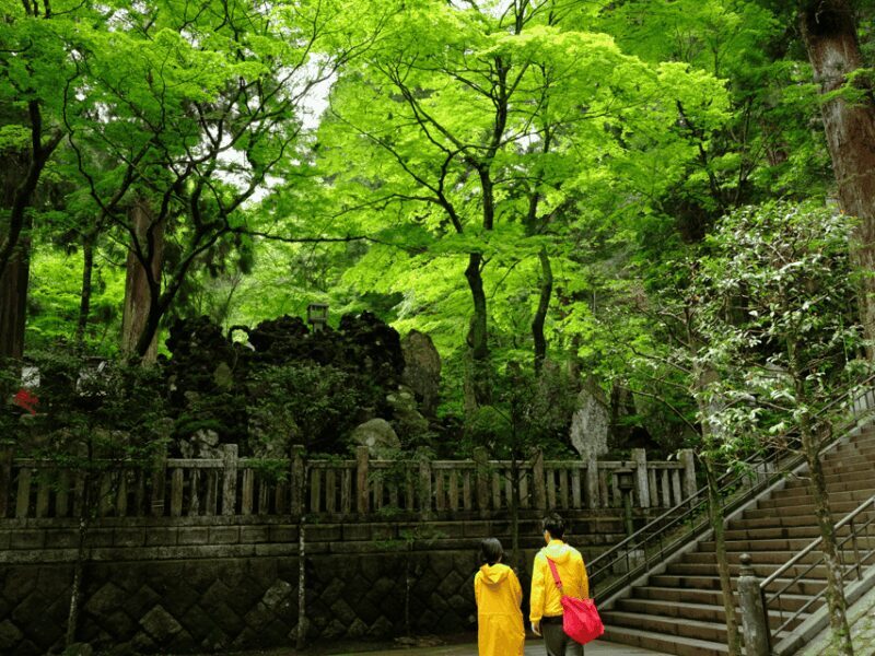 Fm Odawara: Forest bathing and onsen with healing power - Considerations and Tips