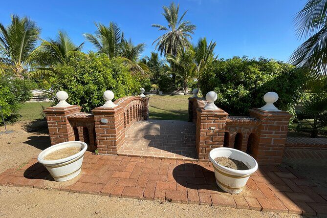 Foco Tonal Sound Vortex Meditation Experience in Los Cabos - Key Points