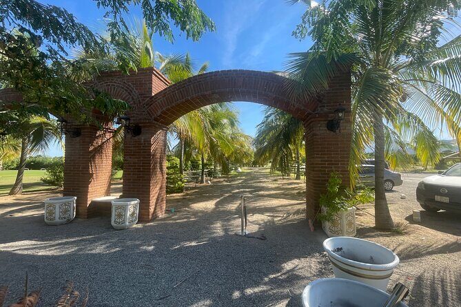 Foco Tonal Sound Vortex Meditation Experience in Los Cabos - The Practical Side: What You Need to Know