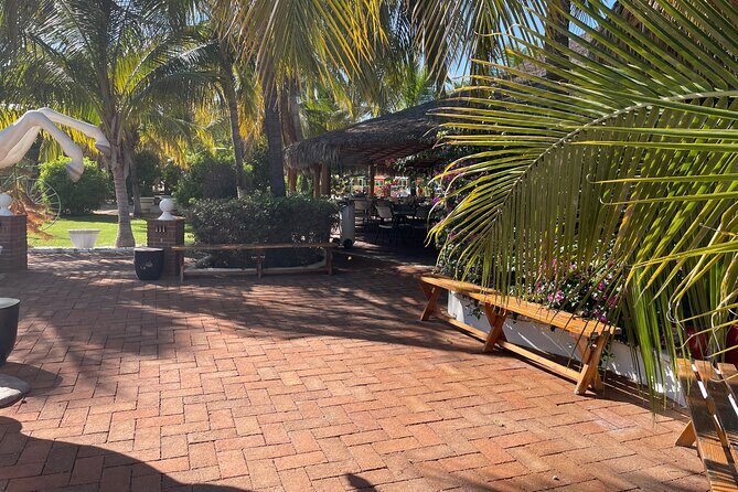 Foco Tonal Sound Vortex Meditation Experience in Los Cabos - FAQs