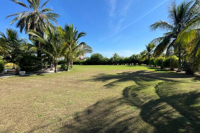 Foco Tonal Sound Vortex Meditation Experience in Los Cabos - Final Thoughts: Is It Worth It?