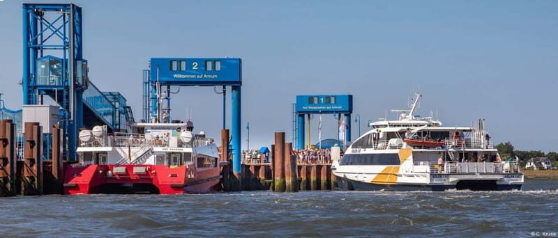 Föhr: Day trip by boat to Hallig Hooge - The Journey Begins: The Experience at a Glance