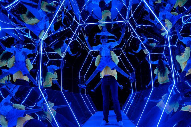Foko Immersive Gallery Ticket - Practical Details and Logistics