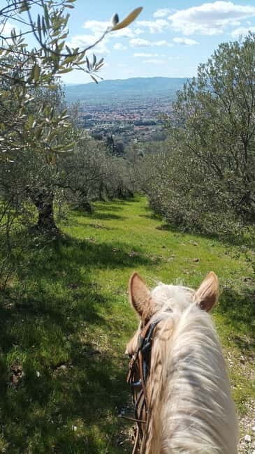Foligno: horseback riding with aperitif - Key Points