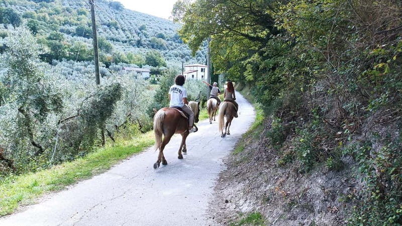 Foligno: horseback riding with aperitif - The Sum Up: Who Should Consider This Tour?