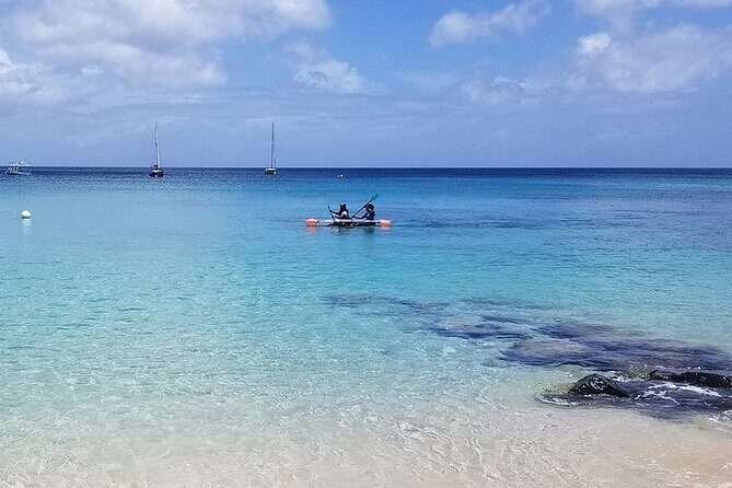 Folkestone Coral Reef Clear Kayak Tour - Key Points