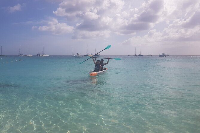Folkestone Coral Reef Clear Kayak Tour - Key Highlights of the Folkestone Coral Reef Kayak Experience