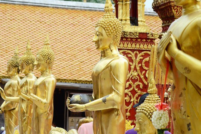 Follow monks trails Hiking & Alms Offering Doi suthep - The Sum Up