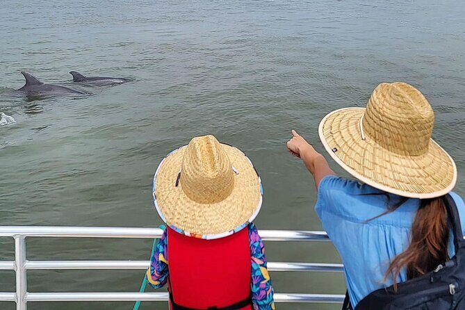 Folly Beach Dolphin Viewing Boat Excursion and Estuary Tour - Overview and Practical Details