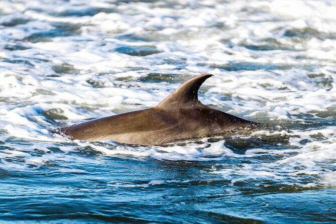 Folly Beach Sunrise or Sunset Photo Walk - The Sum Up: Who Should Book This Tour?