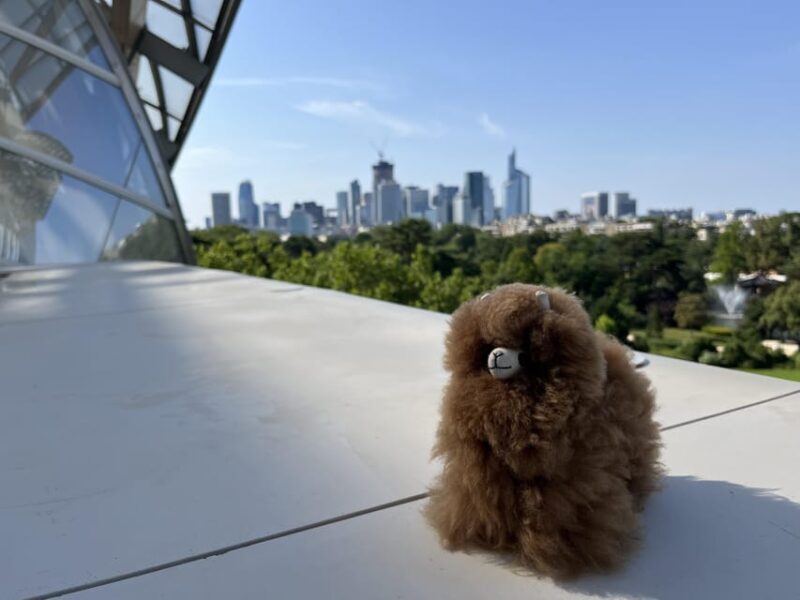 Fondation Louis Vuitton: Ticket Entry & Private Tour - Key Points