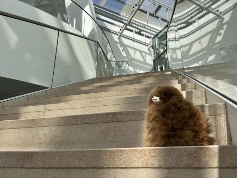Fondation Louis Vuitton: Ticket Entry & Private Tour - What Makes This Tour Stand Out?