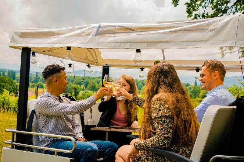 Fondue and wine private Tuk Tuk tour in Geneva - Key Points