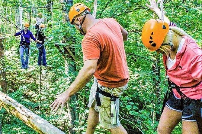Fontanel Zipline Forest Adventure at Nashville North - Discovering the Heart of Tennessee Through the Trees