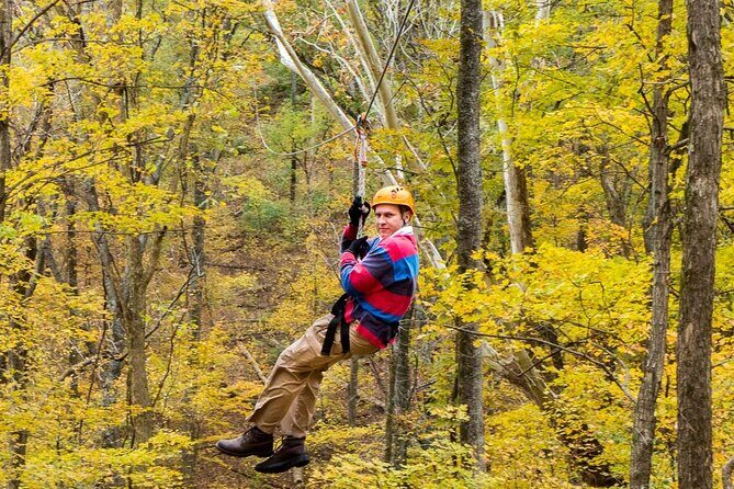Fontanel Zipline Forest Adventure at Nashville North - Pricing and Value