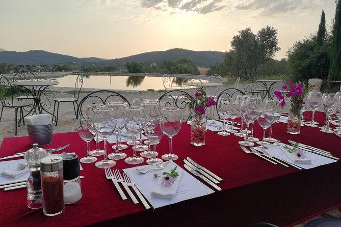 Food and Wine pairing Dinner at Karnas Vineyards Bodrum - An In-Depth Look: What to Expect on Your Visit
