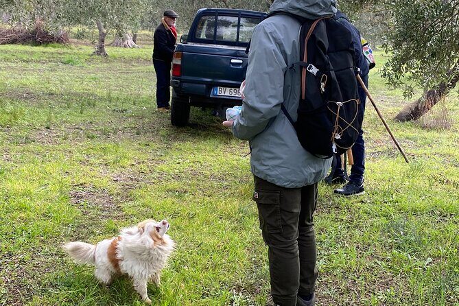 Food and Wine Tour between the Patriarchs Olives and the Oil Temples - FAQ