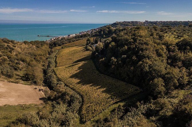 Food and wine tour of San Vito Chietino - Olive Oil and Local Products