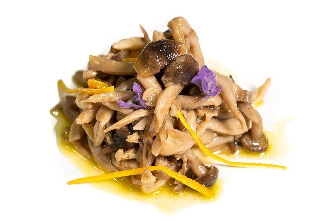 Food experience in mushroom cultivation (tour not included) - Who Should Consider This Experience?