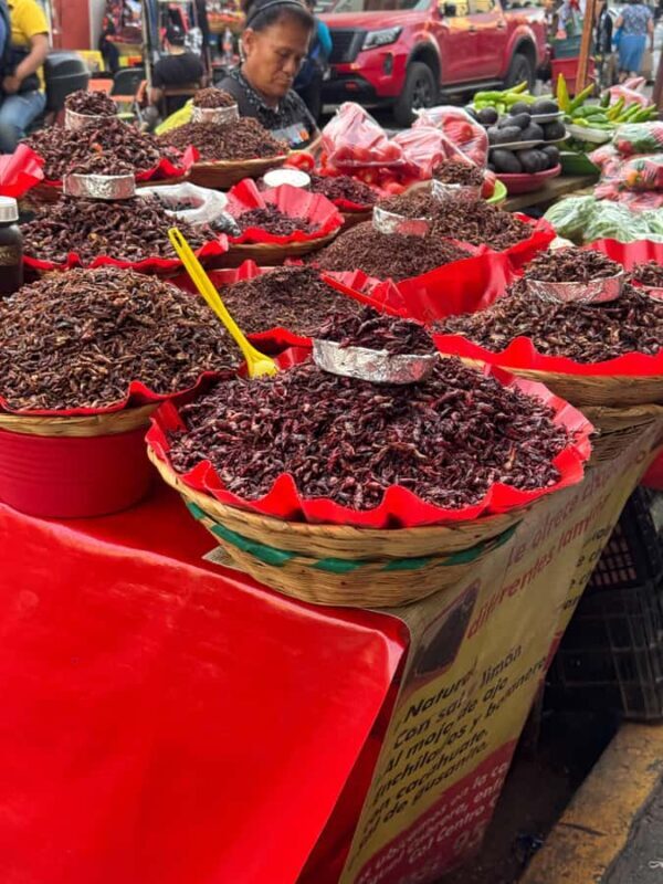 Food Tour at the 20 de Noviembre Market (All-inclusive) - An Engaging Introduction to Oaxaca’s Markets