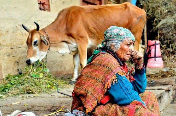 Food Tour With Cooking Class in Local Village from Delhi - Who Should Consider This Tour?