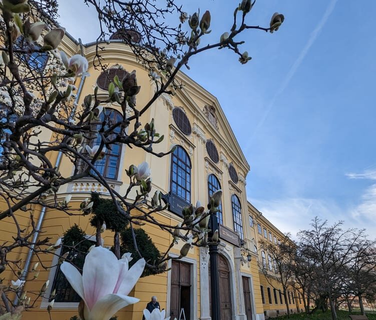 Food, Wine And Sightseeing Tour in Oradea, Romania - The Authentic Flavour: What Makes It Stand Out