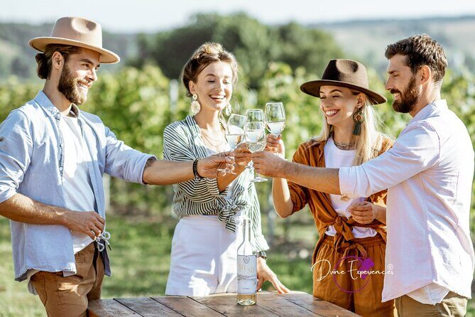 Food Wine and Wellness Tours in Port Macquarie and Coffs Harbour - An In-Depth Look at the Tour Experience